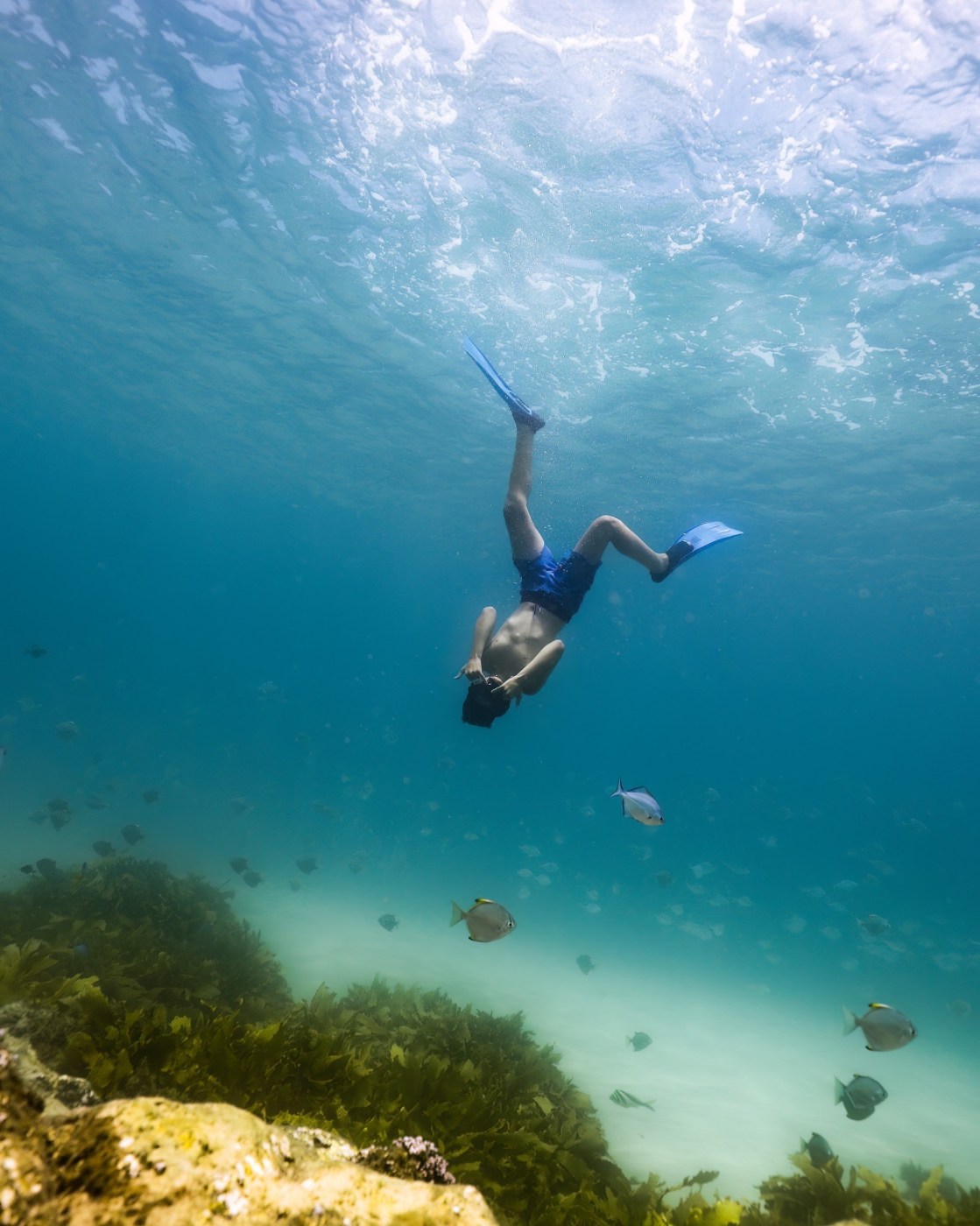 Port Stephens Island Snorkelling Adventure | Moonshadow - TQC Cruises