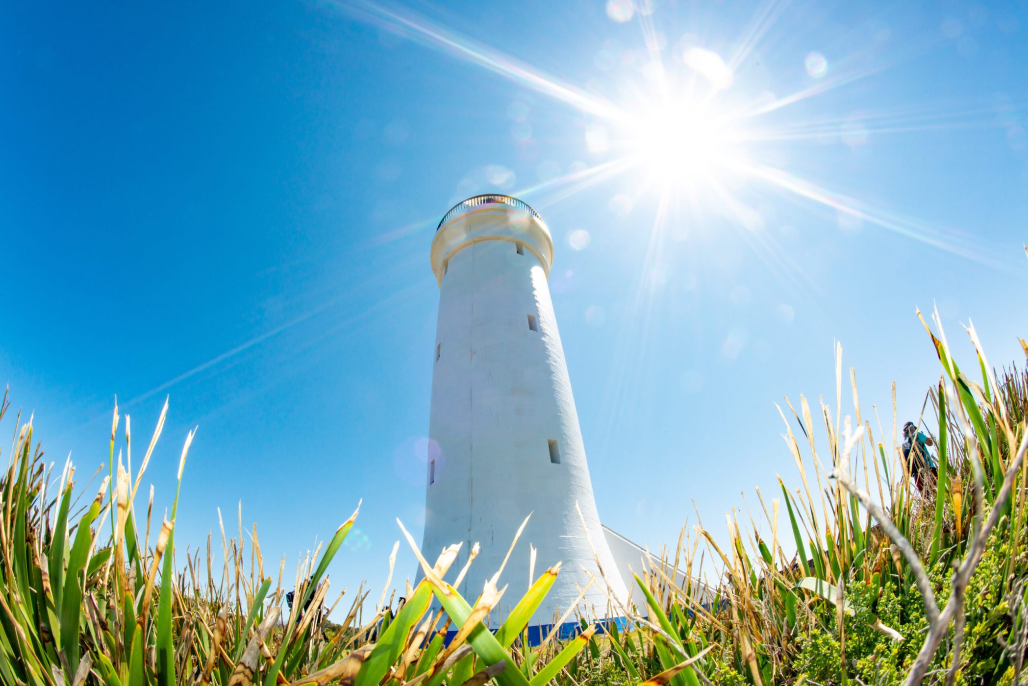 Port Stephens Island Snorkelling Adventure | Moonshadow - TQC Cruises