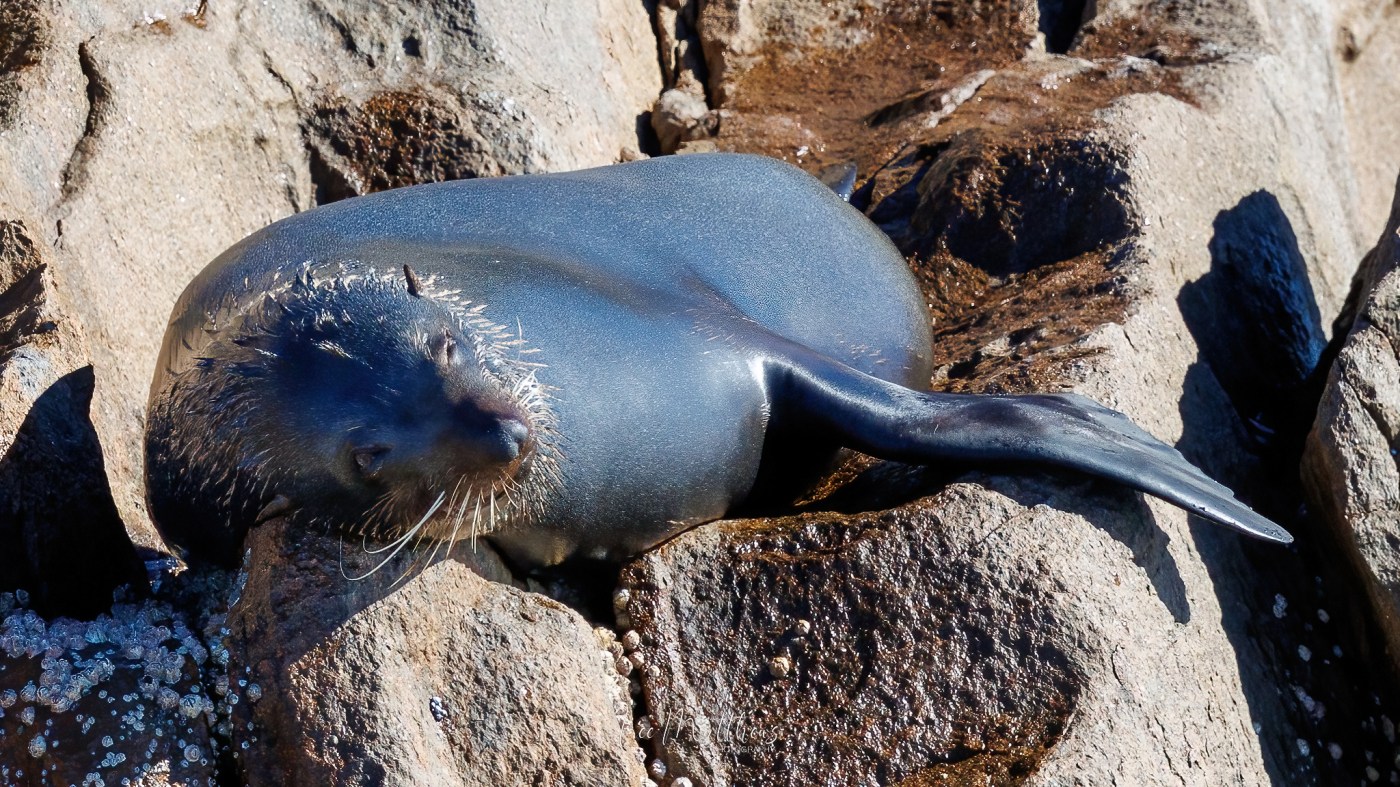 16 July 2025 | Moonshadow - TQC Cruises